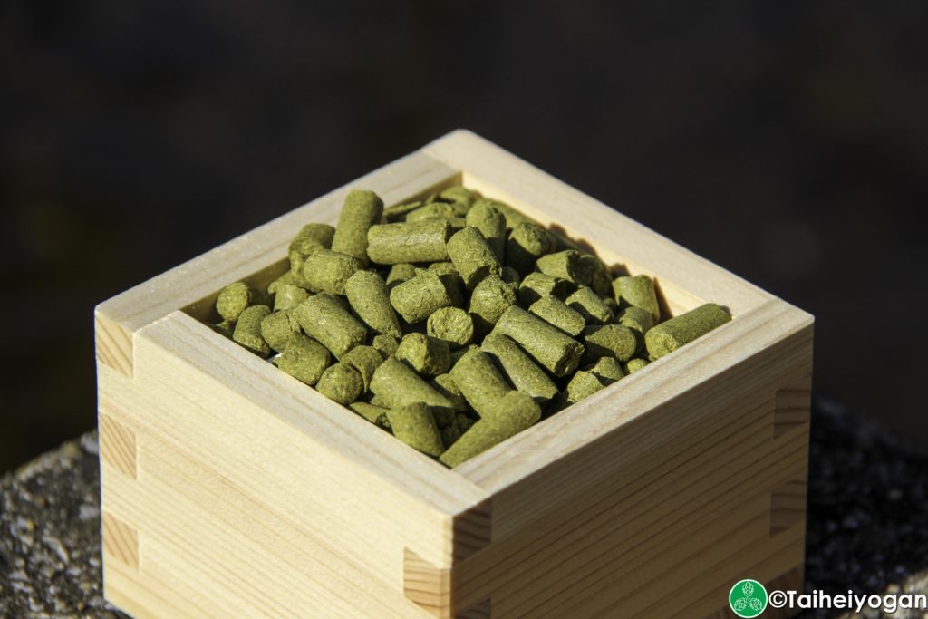 What is Beer? | Craft Beer Resource Japan – Taiheiyogan